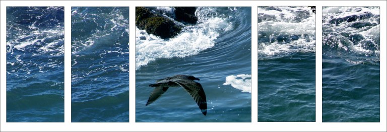 Something Blue | The Final Stretch